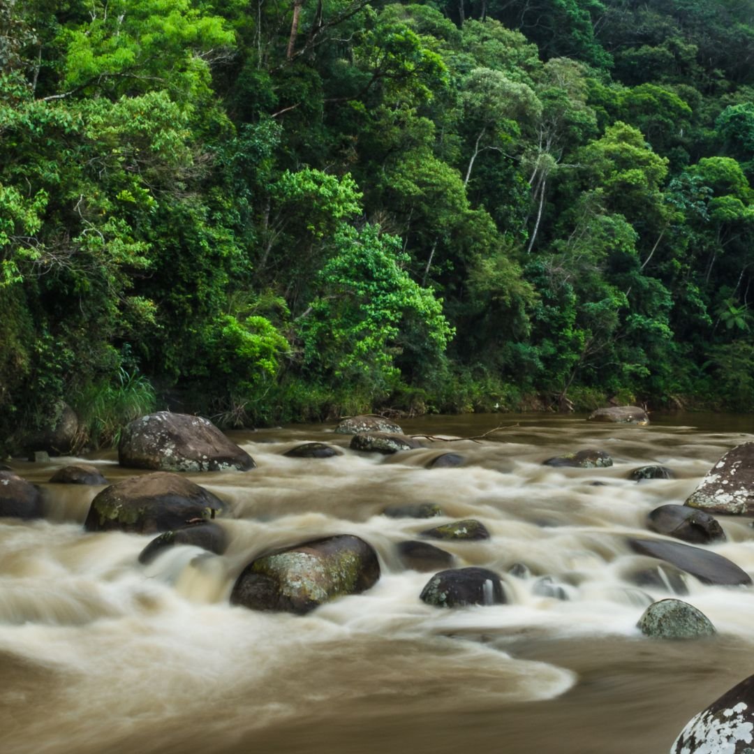 Turismo em Lumiar - Nova Friburgo: O Paraíso Natural com Encantos ...