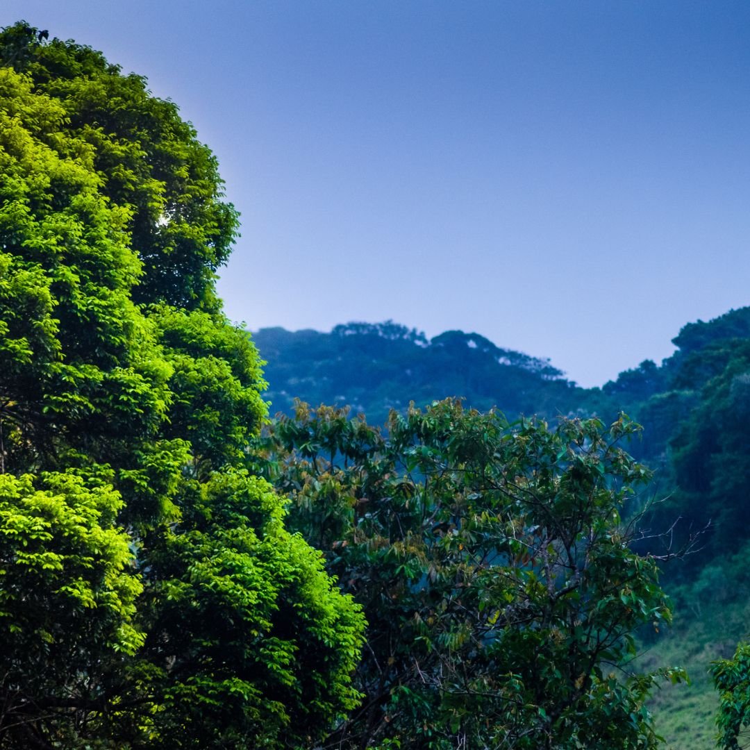 Turismo em Lumiar - Nova Friburgo: O Paraíso Natural com Encantos ...